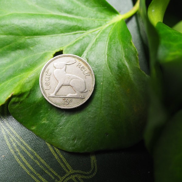 Vintage Irish Coin - Etsy