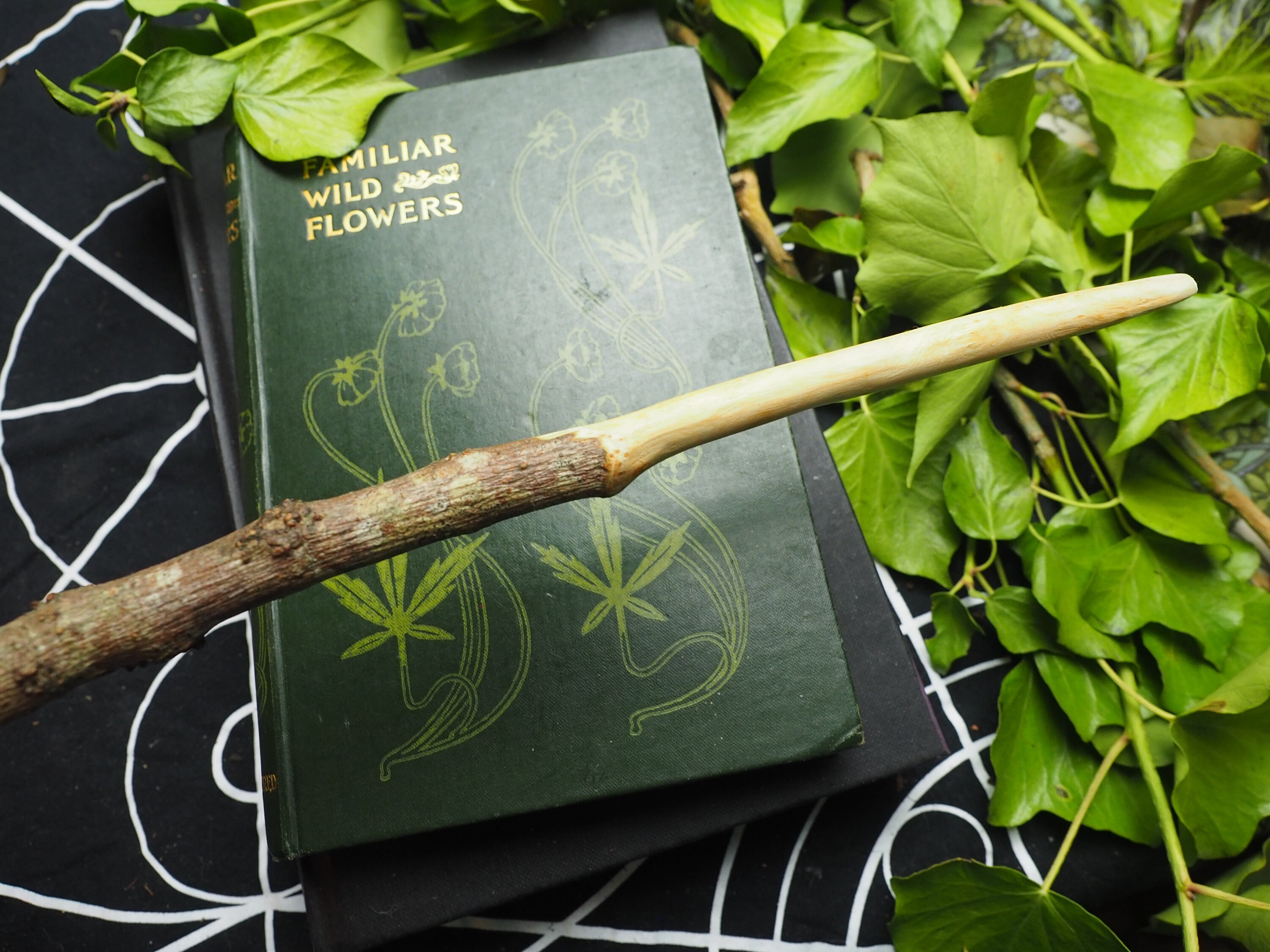 Rare Fig Wood Wand - Tree of Life: for Dionysus & Bacchus, Witchcraft ...
