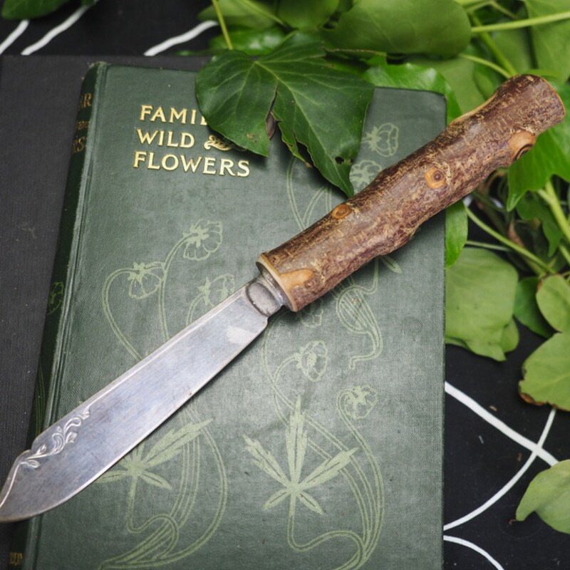 Blackthorn Wood - Etsy