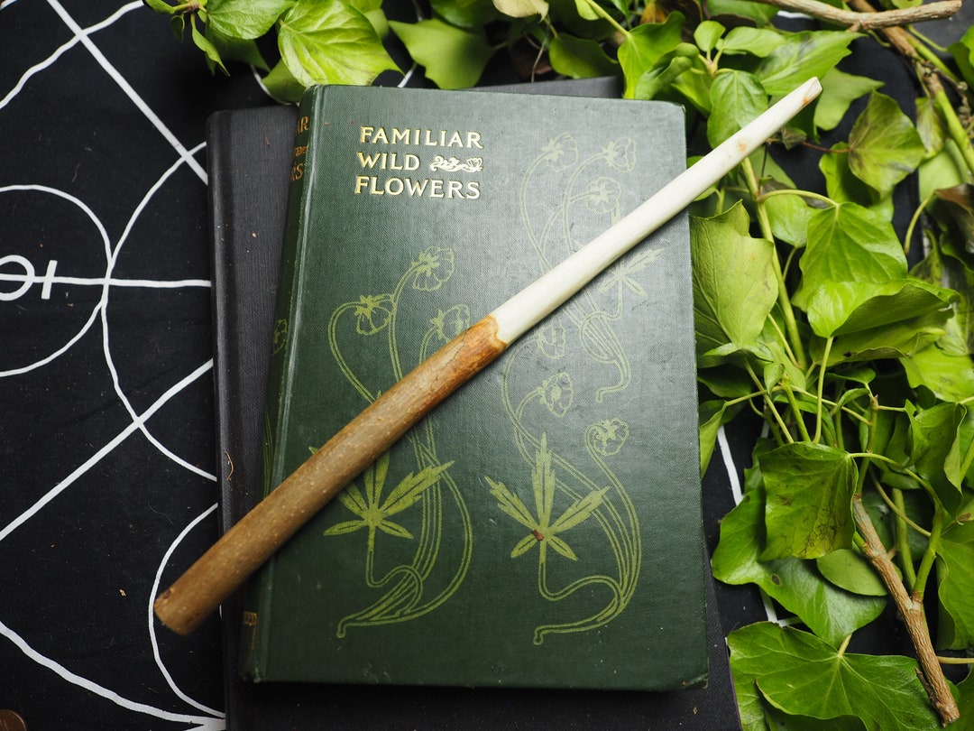 English Ash Wood Wand - With Bag - for Pagans, Wiccans, Witchcraft ...