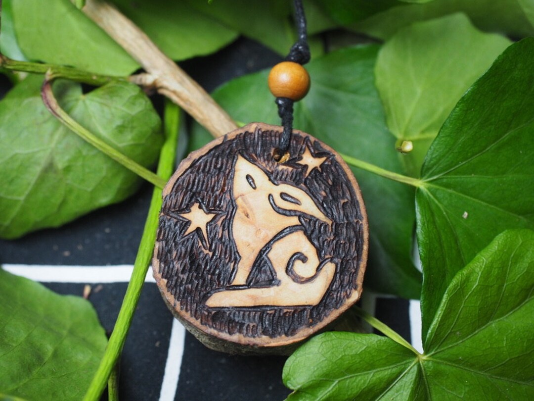 Star Gazing Hare Amulet Willow Wood, Goddess, Transformation Wicca ...