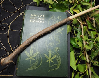 Greek Olive Wood - Etsy