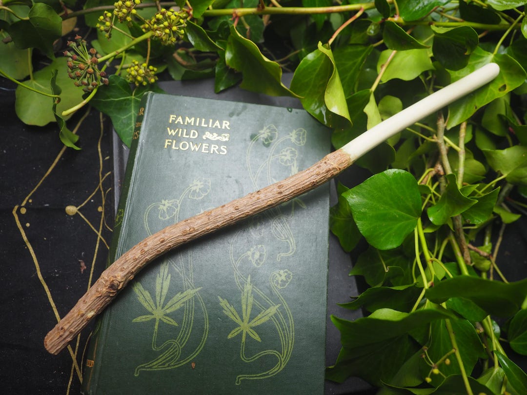 English Elder Wood Wand - Dark Goddess, Crone Magic - Pagan, Wicca ...