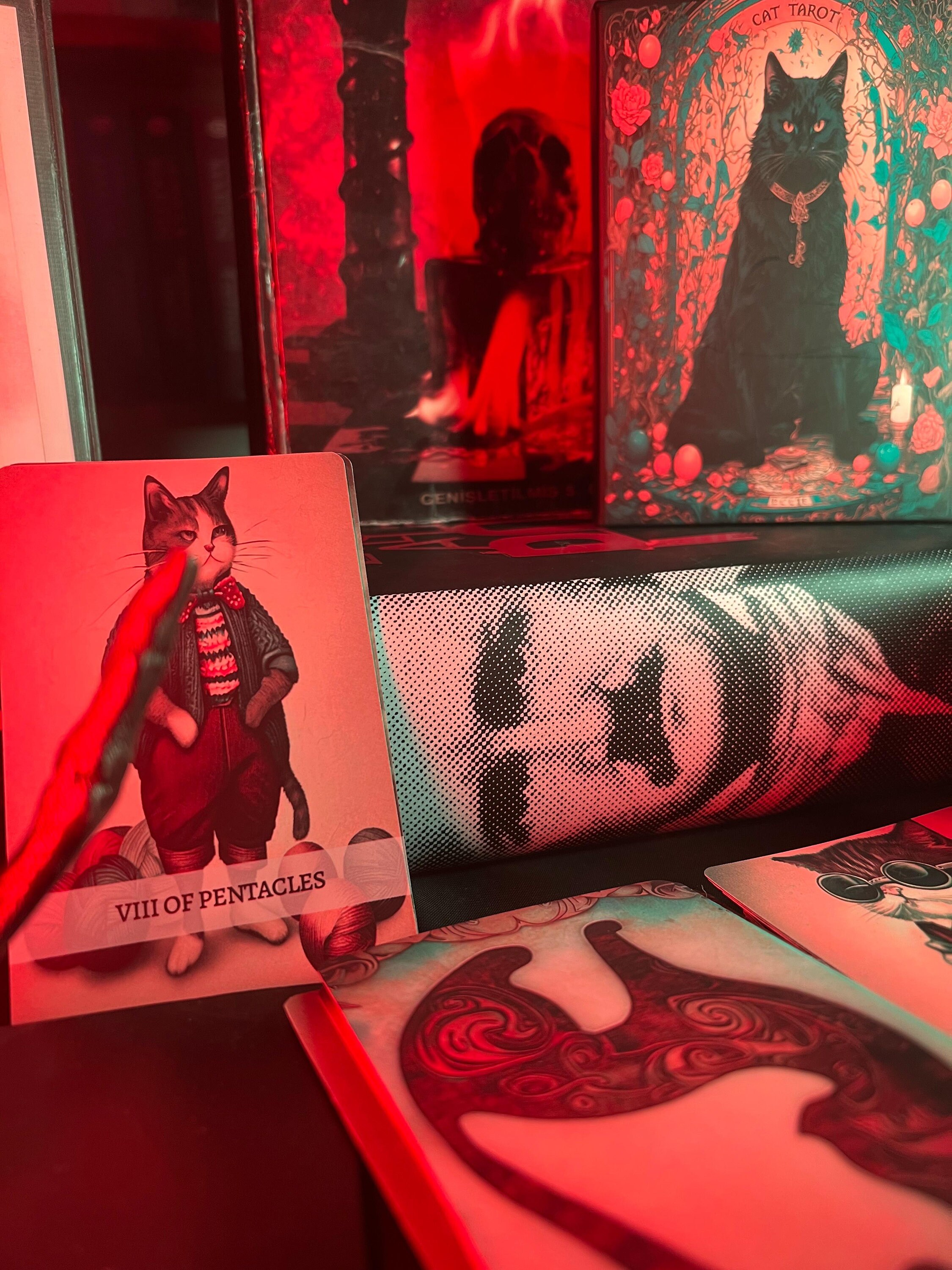 Cat Tarot Deck, 78 Cards, Spiritual Cats, Oracle of Cats, Tarot Deck ...