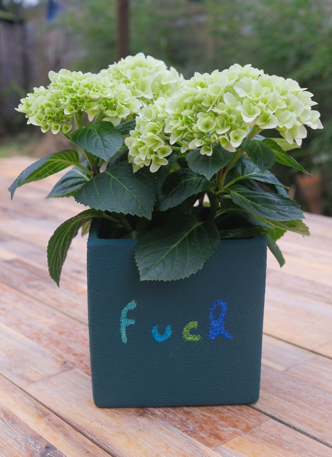 Ecological and Customizable Paillette Style Flower Pot Covers - Etsy