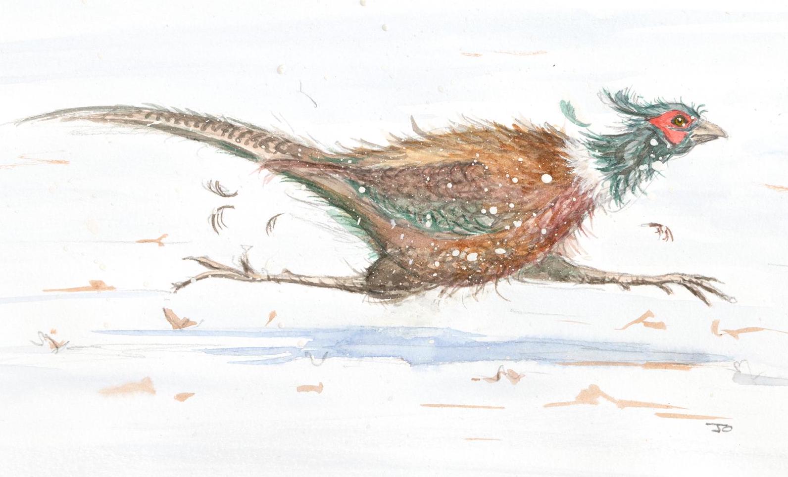 Sunvisor Extensions Elegantly Illustrated. Original Art by Jo-anne ...