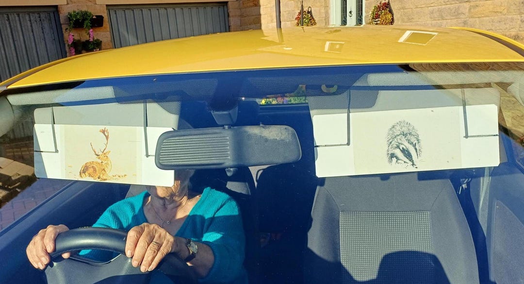 Sunvisor Extensions Elegantly Illustrated. Original Art by Jo-anne ...