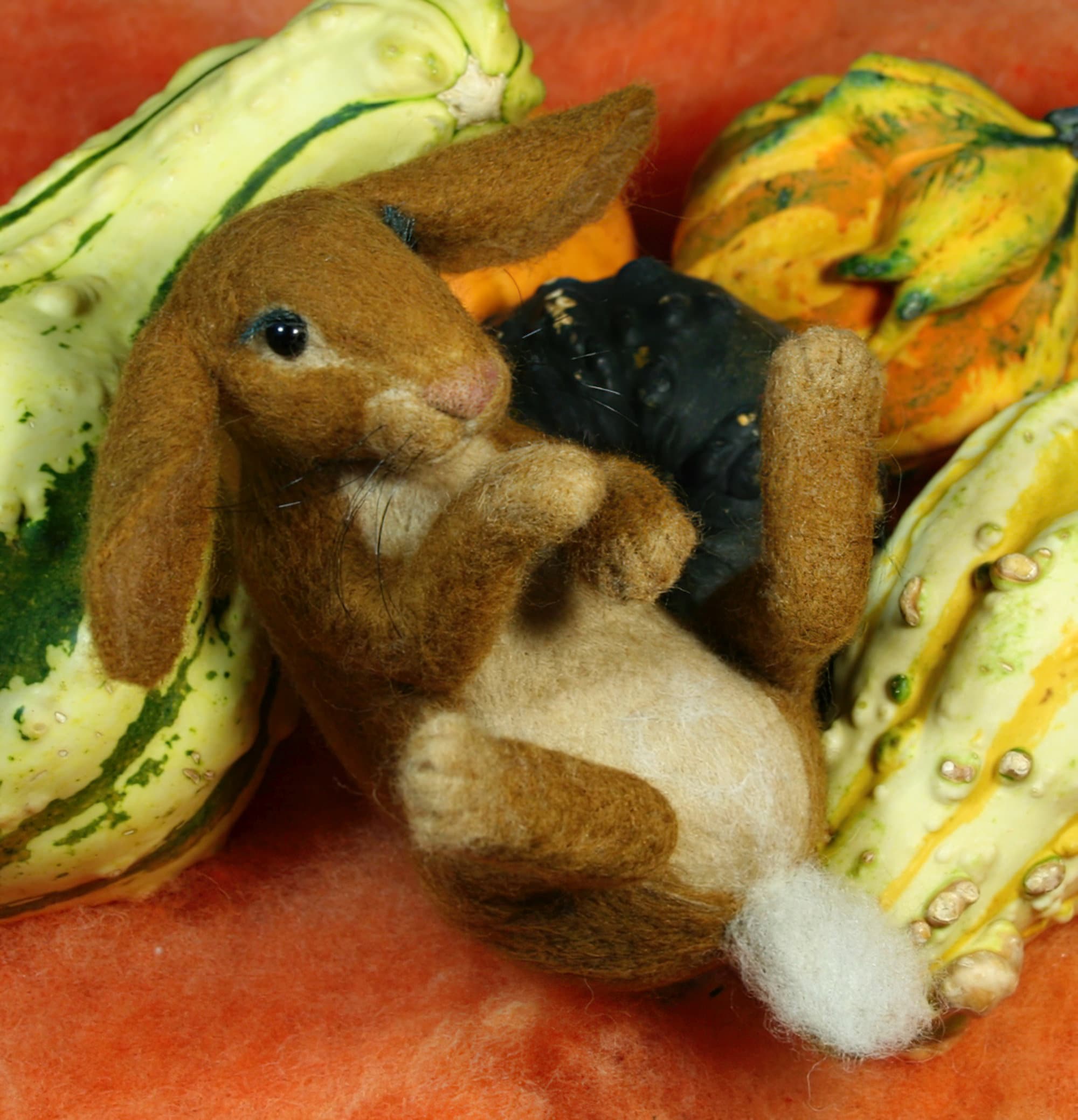 Tutorial Rabbit Intermediate Needle Felting - Etsy