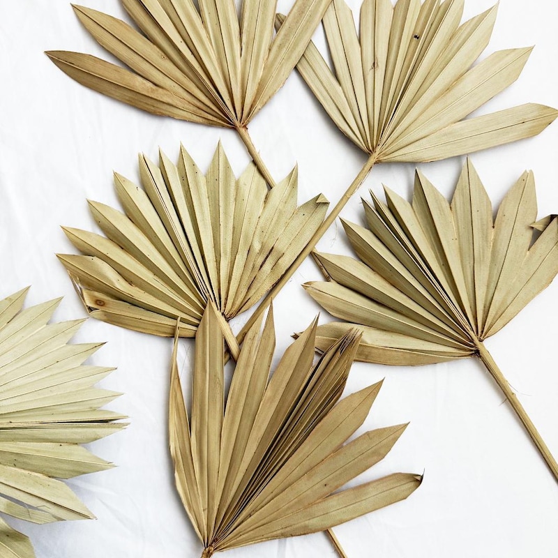 Palm Leaves Decor - Etsy