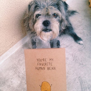 You're My Favorite Human Bean Greeting Card - Etsy
