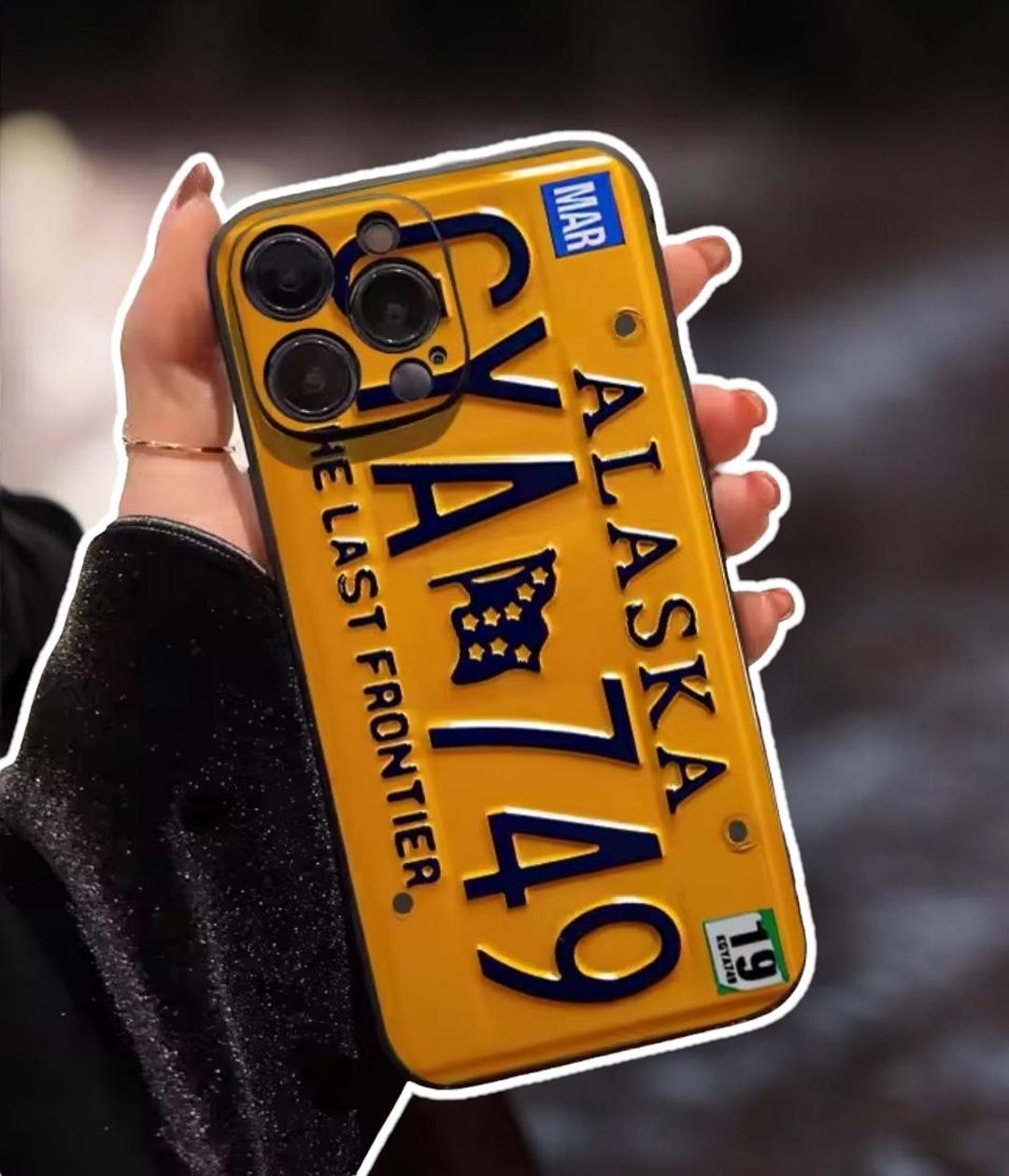 Alaska State, American Bumper Plate Case, iPhone Case for iPhone 16 X ...