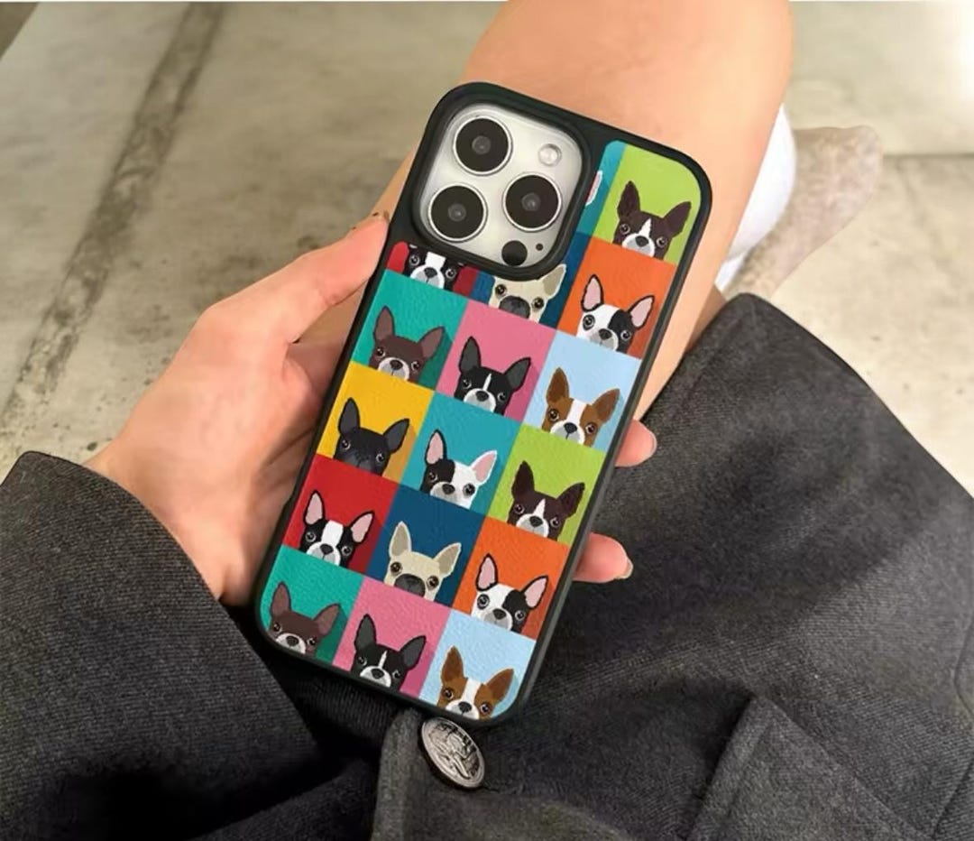 French Bulldog, Frenchie, Rainbow Photo Case, Custom Case for iPhone 16 ...
