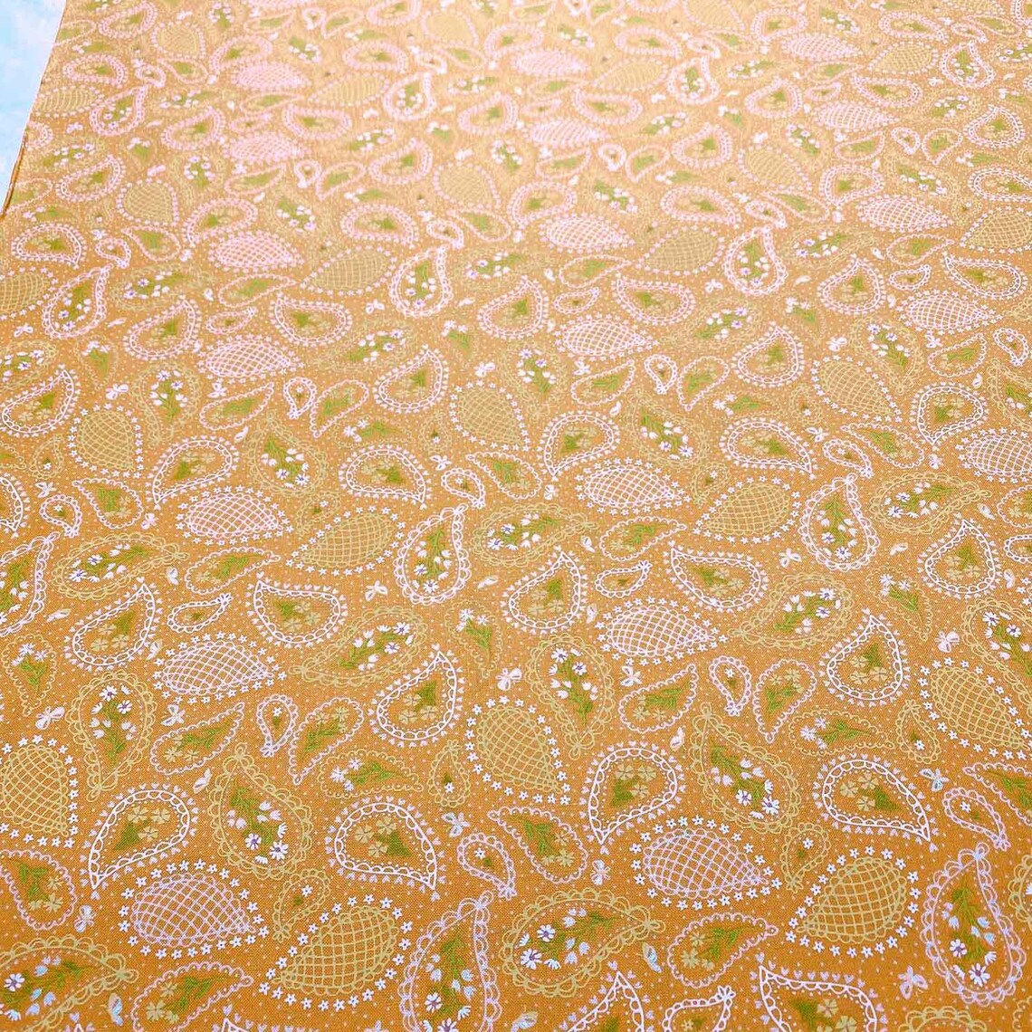 Moda SUNDAY PICNIC Paisley 20673 22 Orange - Etsy