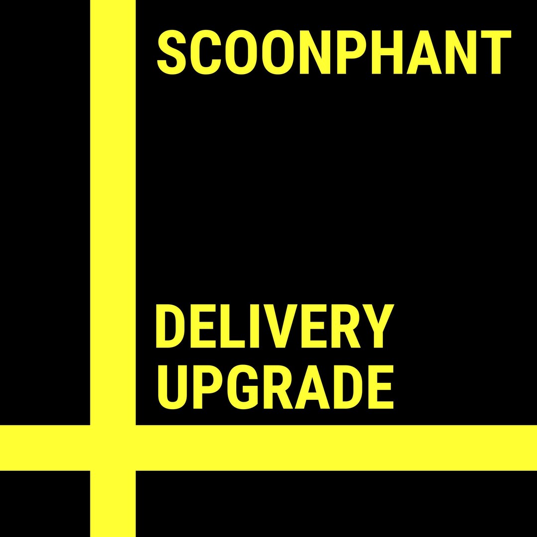 Efficient Delivery Upgrade Bolt on for Express Guarantee - Etsy