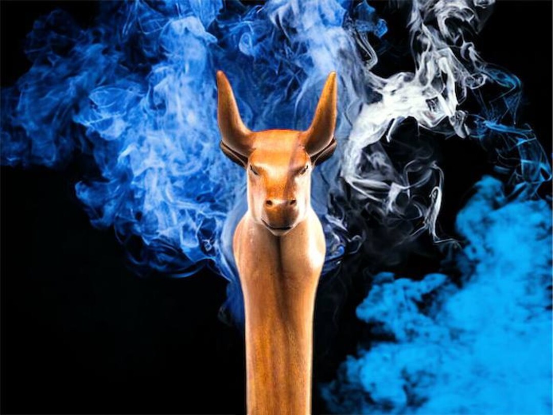 Bull Cane Wood Carved Walking Stick Bull Cane Carved Handle Decorative ...