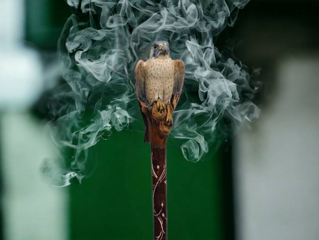 Bird Cane Wood Carved Walking Sticks Bird Cane Carved Handle Decorative ...