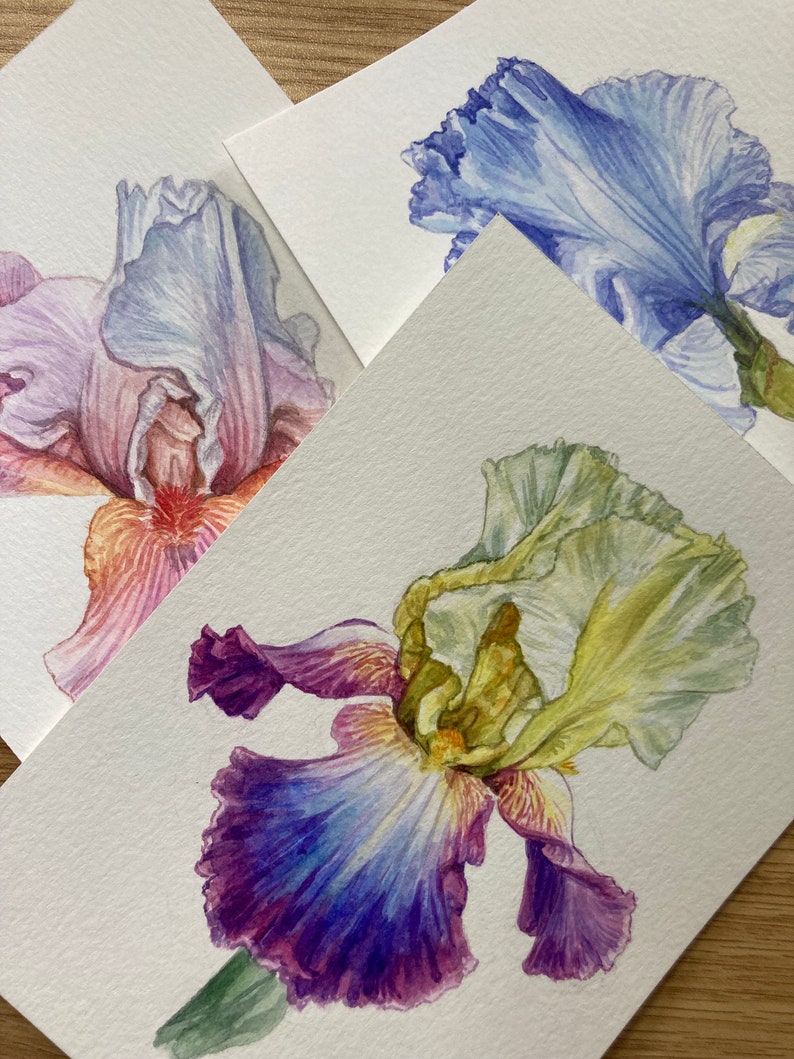 Watercolor Original Blue Iris Painting - Etsy