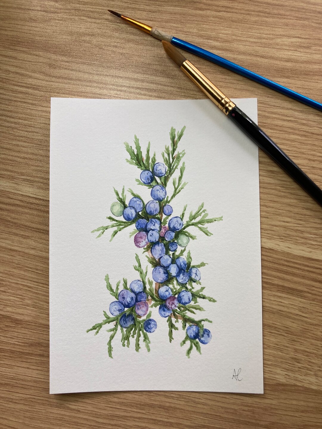 Watercolor Original Juniper Painting - Etsy