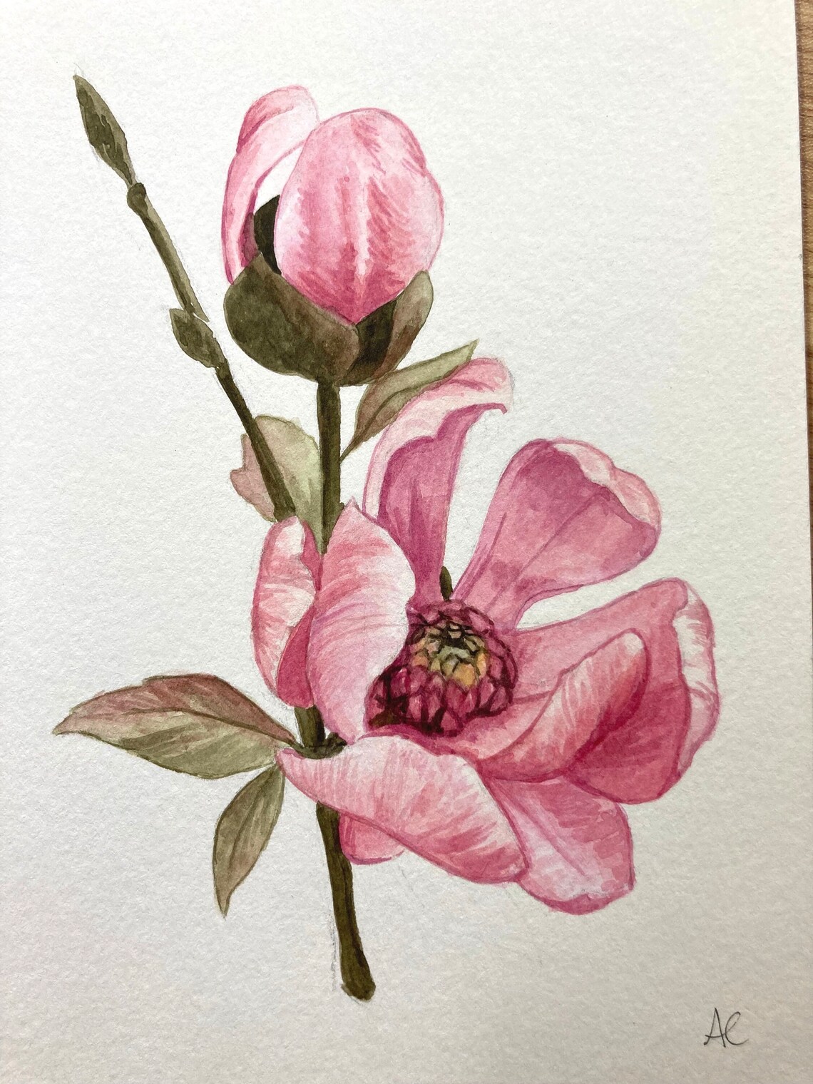 Watercolor Pink Flower Original Painting - Etsy