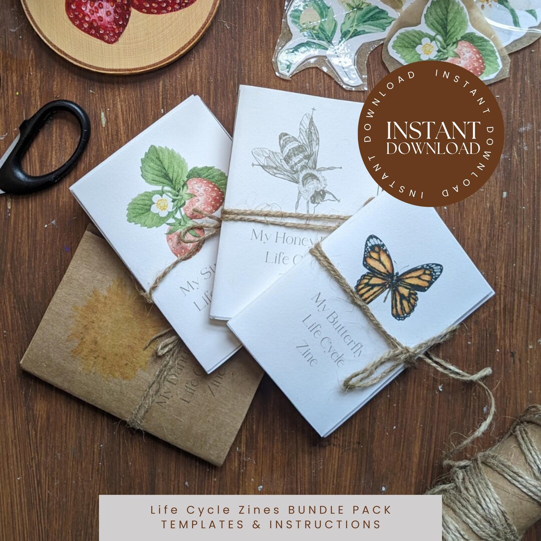 4 Life Cycles Bundle, Paper Zine, A4 Printable - Butterflies, Bees ...