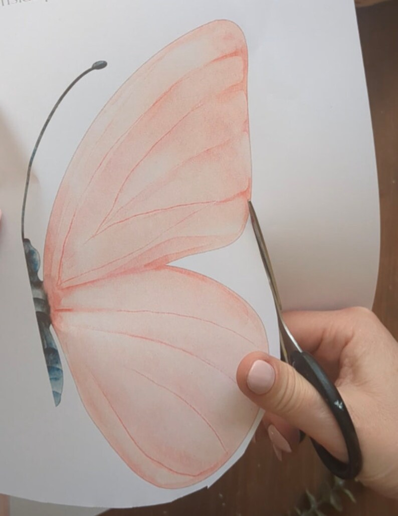 Printable Butterfly Book Cover and Paper Insert Template - Download - Etsy
