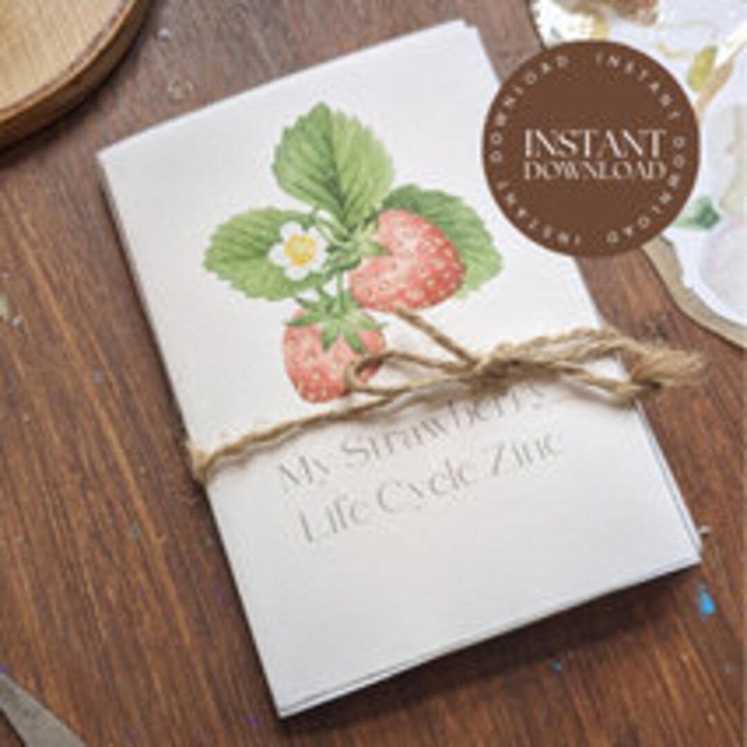 Strawberry Life Cycle, Paper Zine, A4 Printable, Educational Paper ...