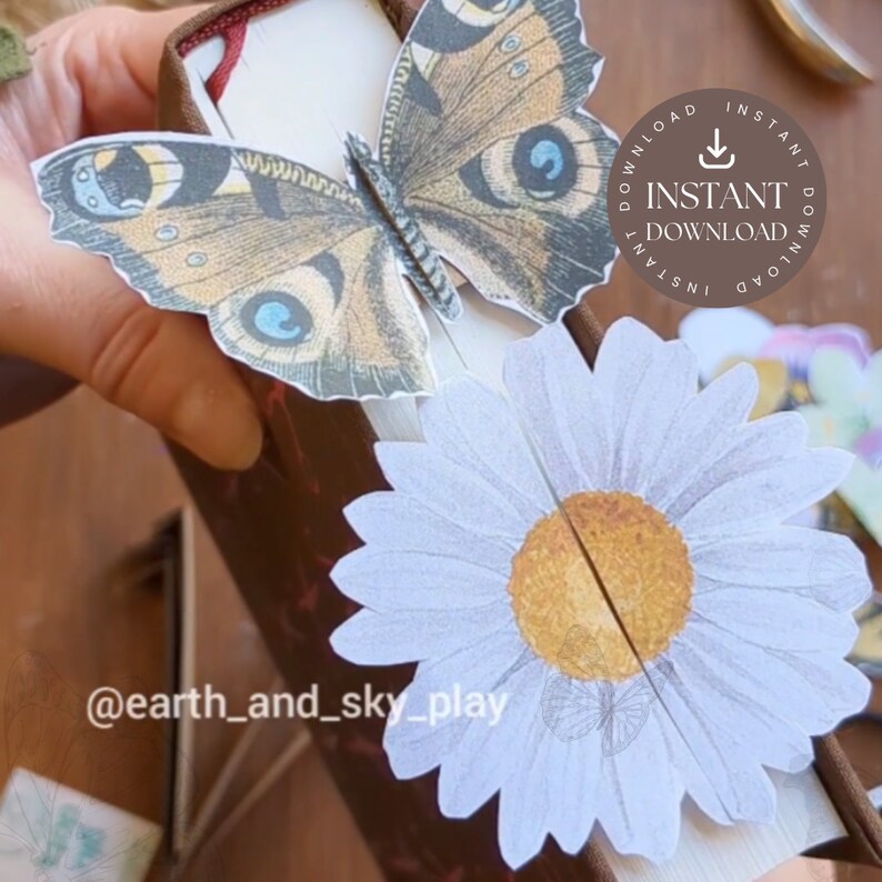 Butterfly Craft Bundle: Life Cycle Zine, Bookmarks (A4 Digital Download ...