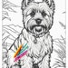 PDF 23 Printable Dog Breeds Coloring Pages for Kids and Adults,dog ...