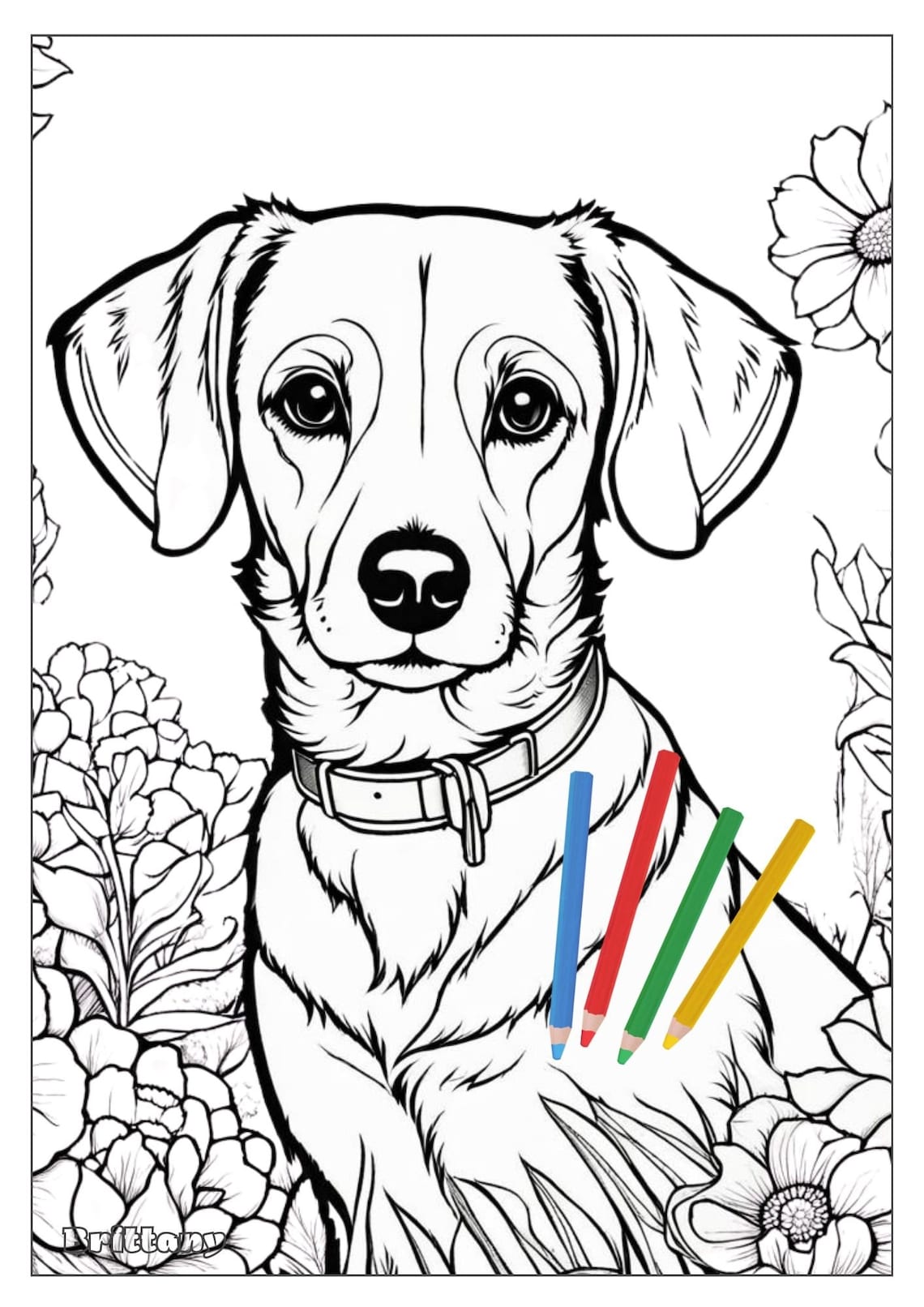 PDF 23 Printable Dog Breeds Coloring Pages for Kids and Adults,dog ...