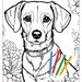 PDF 23 Printable Dog Breeds Coloring Pages for Kids and Adults,dog ...