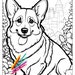 PDF 23 Printable Dog Breeds Coloring Pages for Kids and Adults,dog ...
