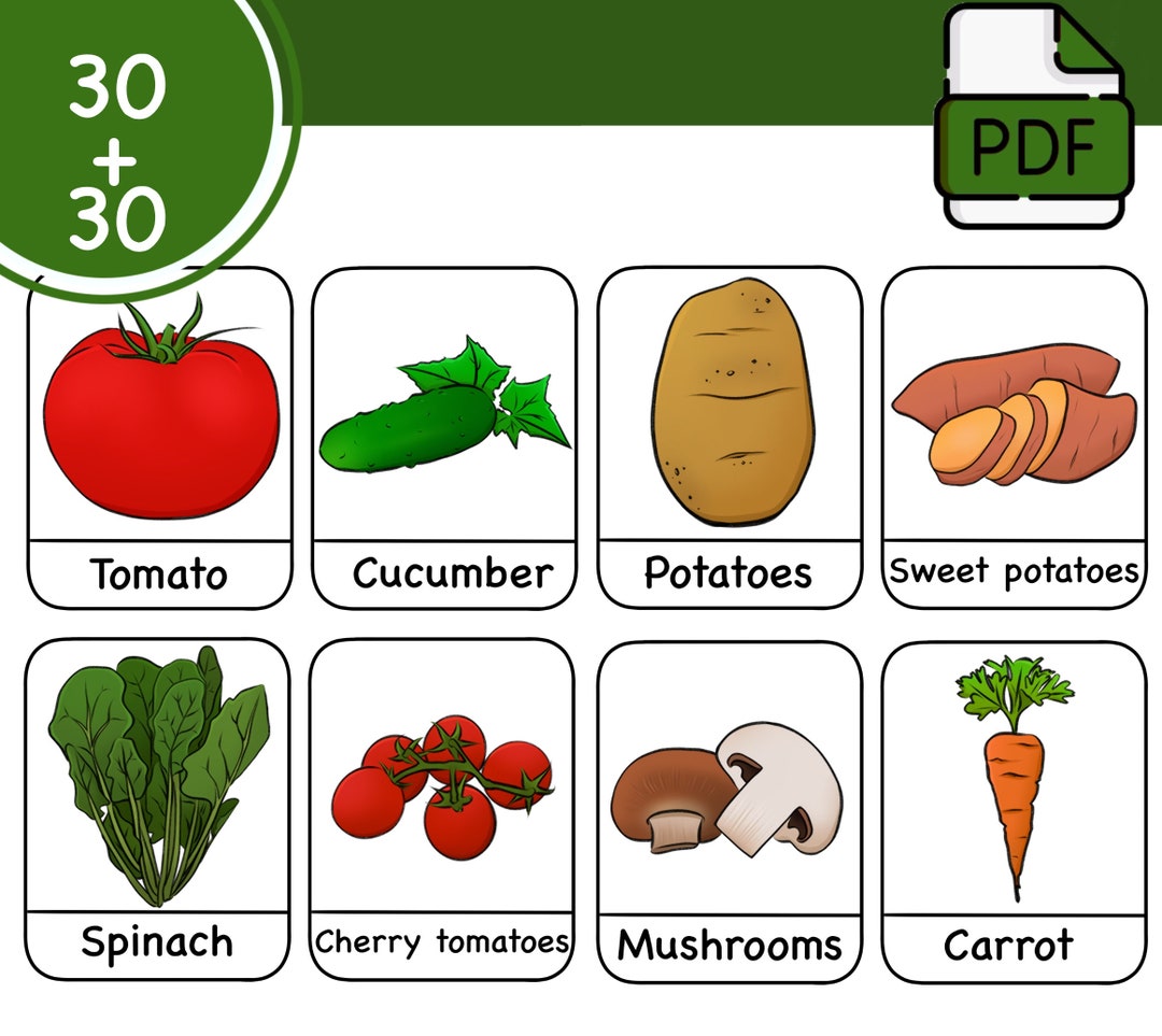Montessori Vegetable Flash Cards, Hand-drawn Learning Cards (PDF File ...
