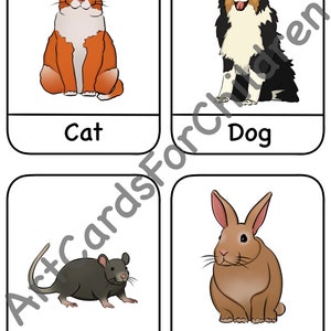 Montessori Cards, Flash Cards, Learning Cards, PDF File, Farm Animals ...