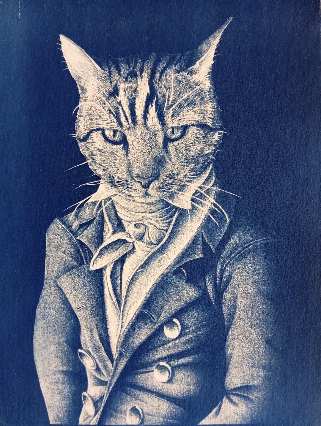 Cat Cyanotype - Etsy