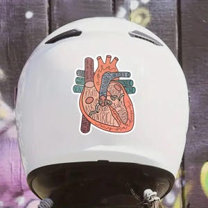 Heart Anatomy Stickers - Medical Nurse Cardiac Decals - Etsy