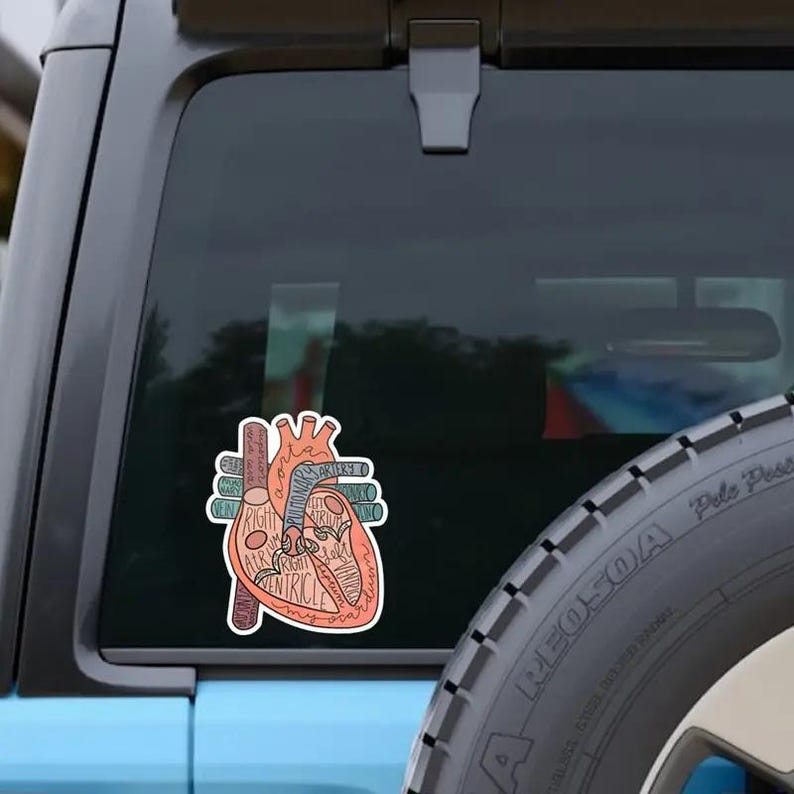 Heart Anatomy Stickers - Medical Nurse Cardiac Decals - Etsy