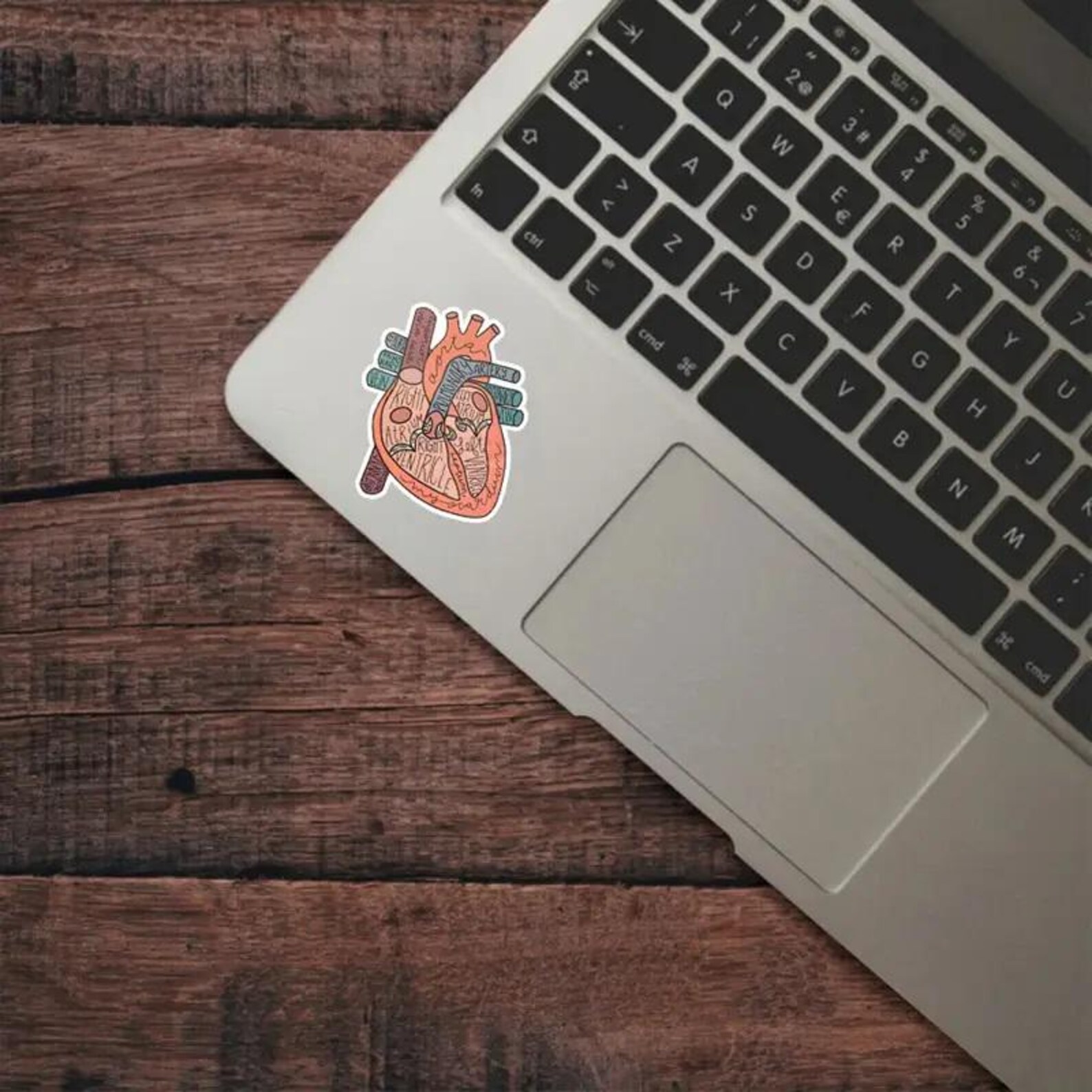 Heart Anatomy Stickers - Medical Nurse Cardiac Decals - Etsy