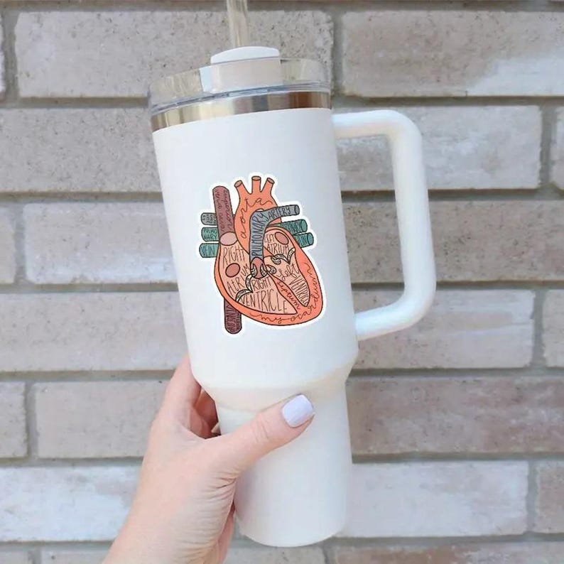 Heart Anatomy Stickers - Medical Nurse Cardiac Decals - Etsy
