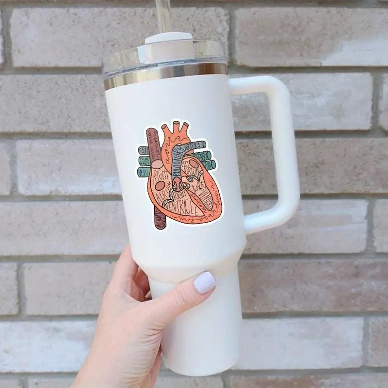 Heart Anatomy Stickers - Medical Nurse Cardiac Decals - Etsy