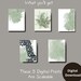 Earthy Green Abstract Wall Art - Prints, Earthy Wall Prints, Set of 5 ...