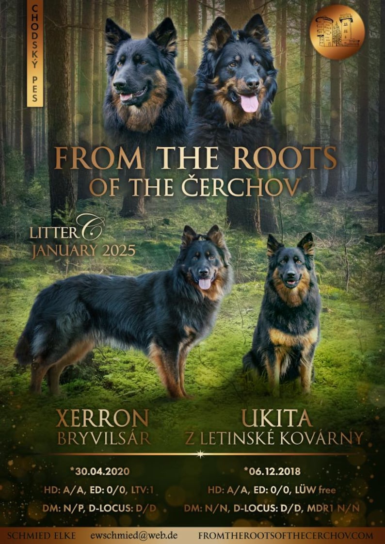 Graphic for Breeders | Litter Announcement | Kennel Banners | Stud ...