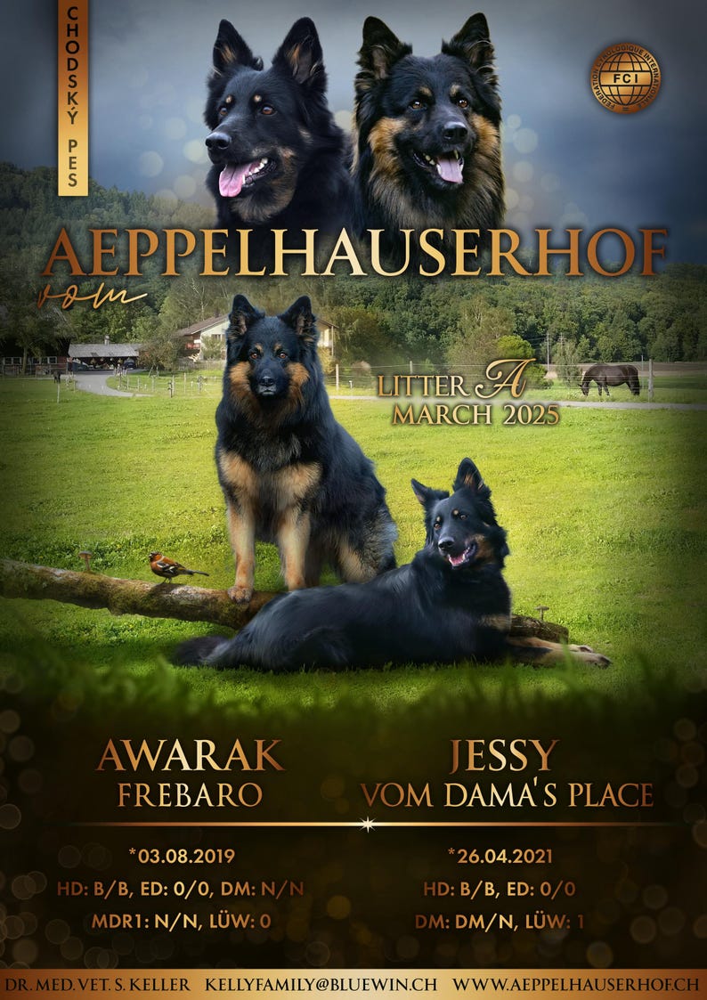 Graphic for Breeders | Litter Announcement | Kennel Banners | Stud ...