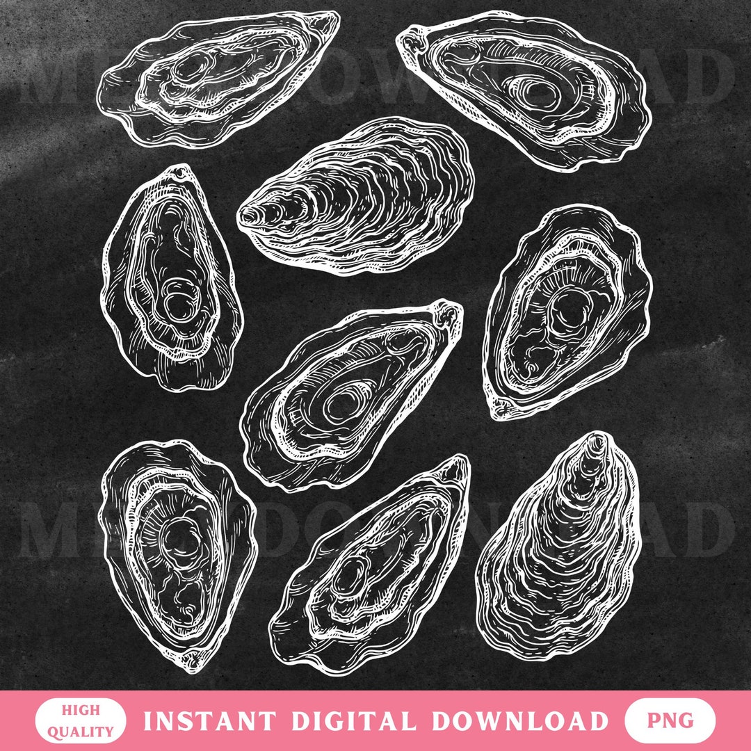 Oyster Shell PNG Summer Design for Shirts or Tote Bags Coastal Digital ...
