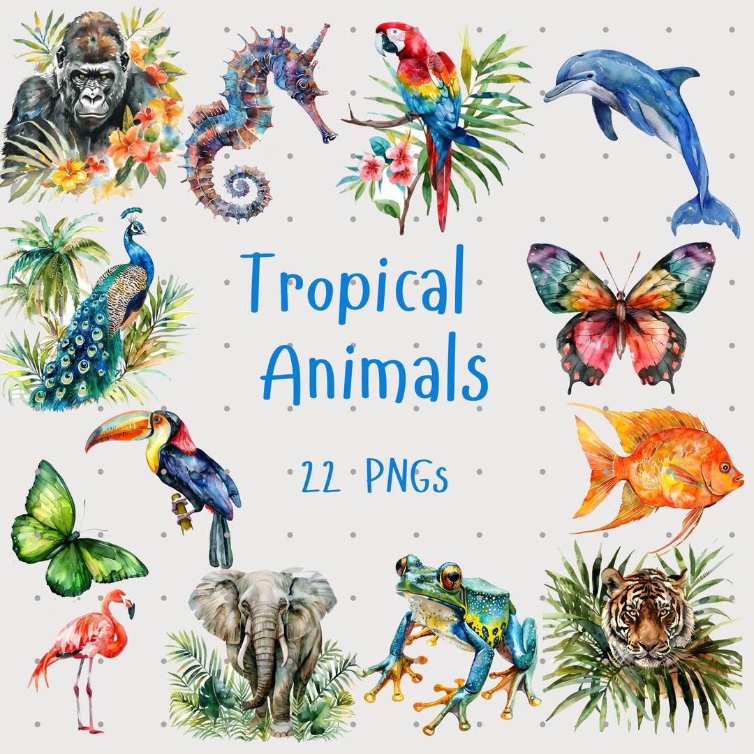 Watercolor Tropical Animals Clipart | Flamingo, Parrot, Chameleon, Frog ...