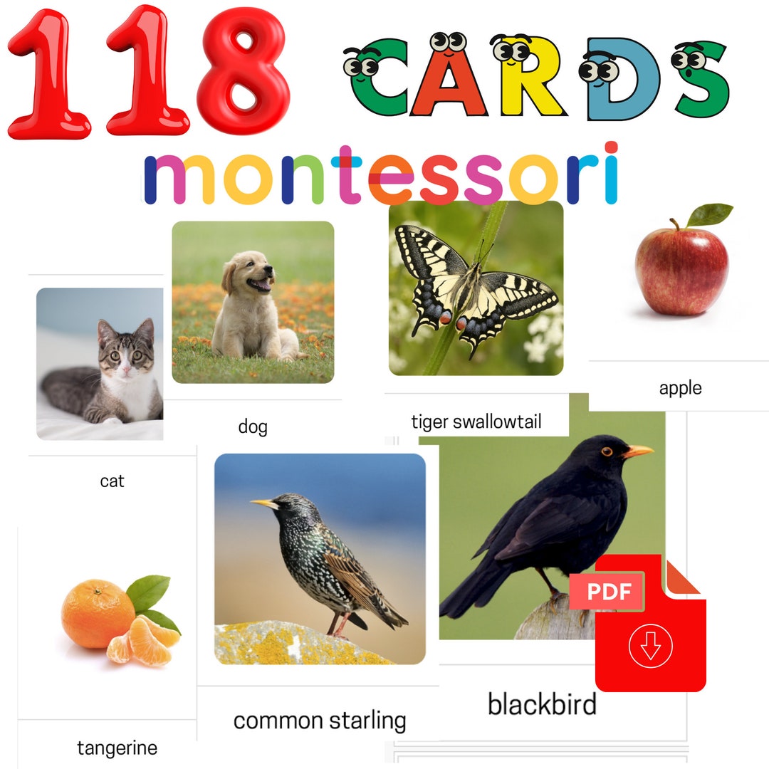 Montessori Memory Flash Cards for Preschool Kids , Kindergarten School ...