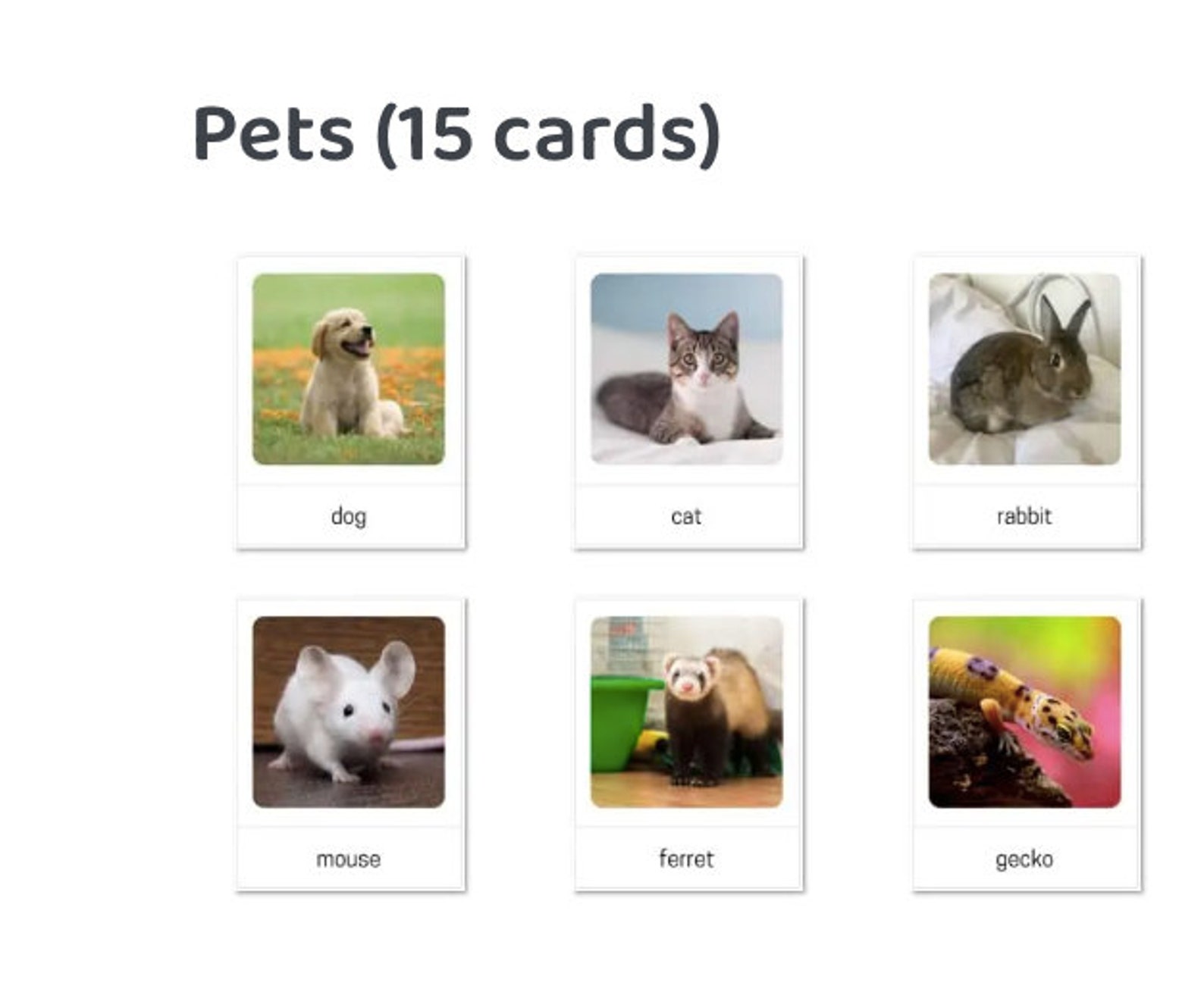 Montessori Memory Flash Cards for Preschool Kids , Kindergarten School ...