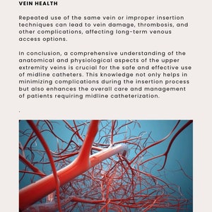 Midline Catheters: A Comprehensive Guide for Healthcare Professionals ...