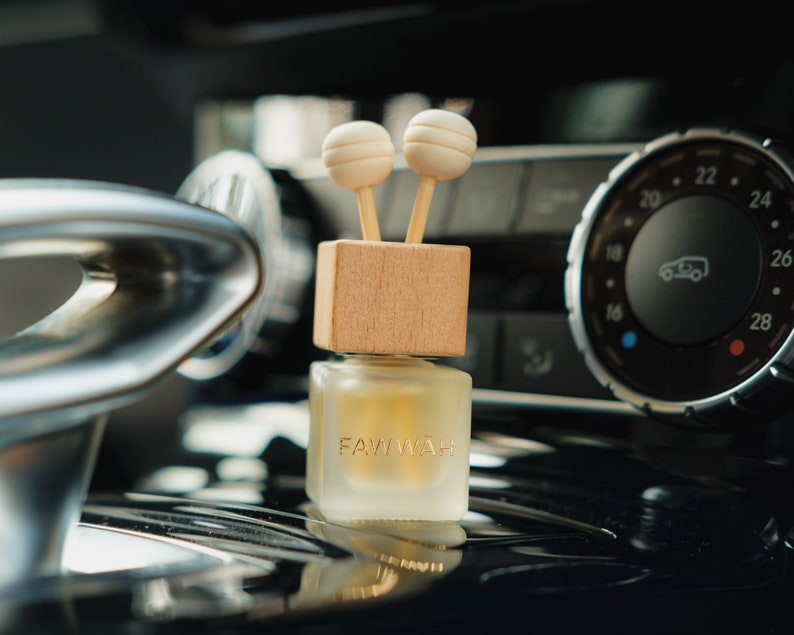 Luxury Fragrance Car Diffuser for Him for Her Hanging Diffuser Vent Clip Diffuser With Reed ...