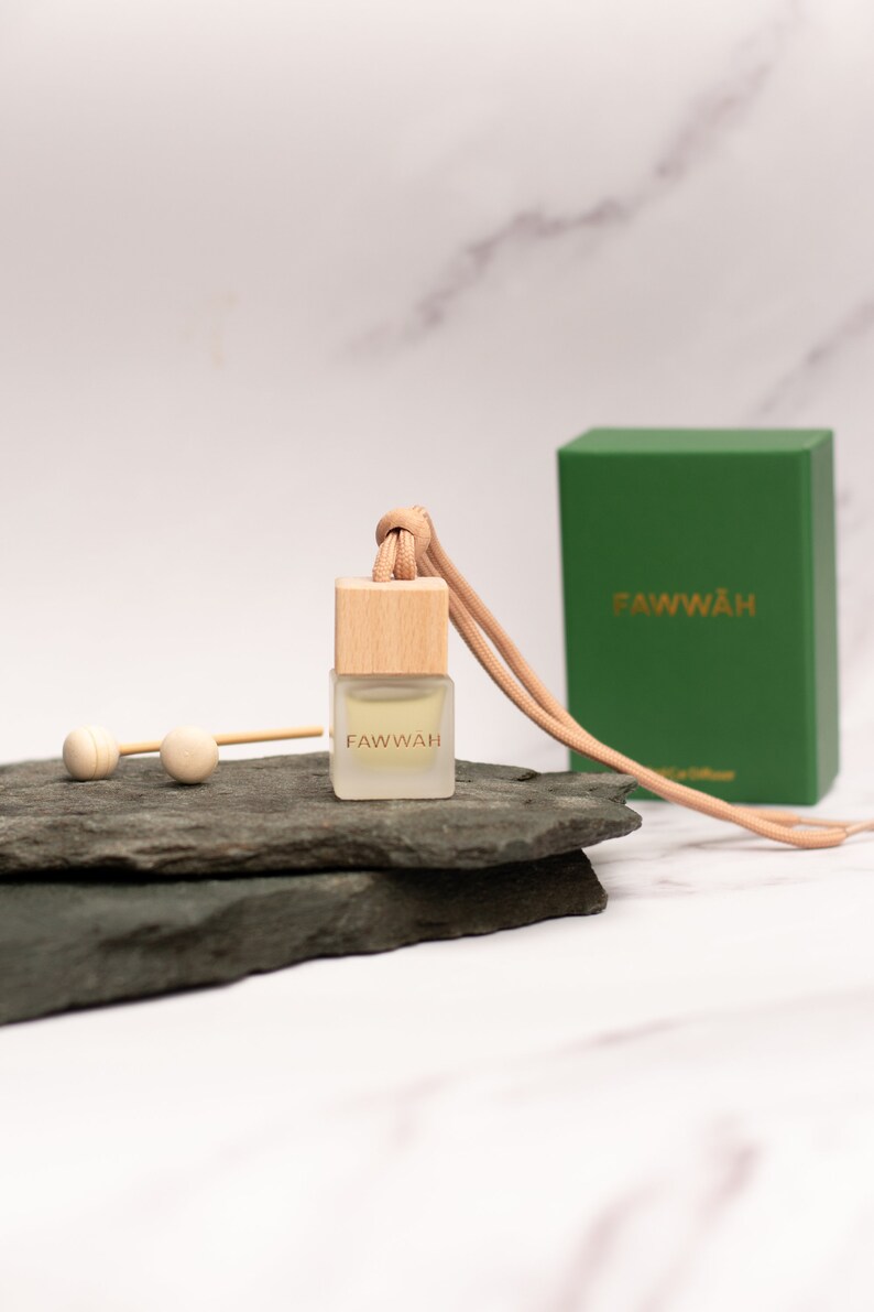 Luxury Fragrance Car Diffuser for Him for Her Hanging Diffuser Vent ...