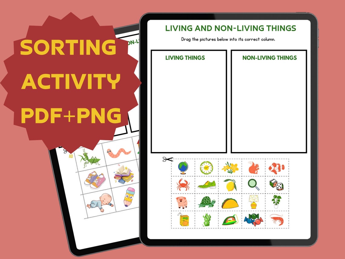 Living Things and Non-living Sort Printable, Sorting Things Activity ...